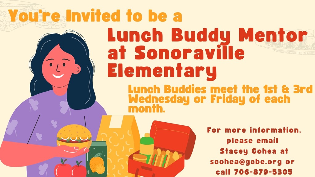 Live Feed | Sonoraville Elementary School